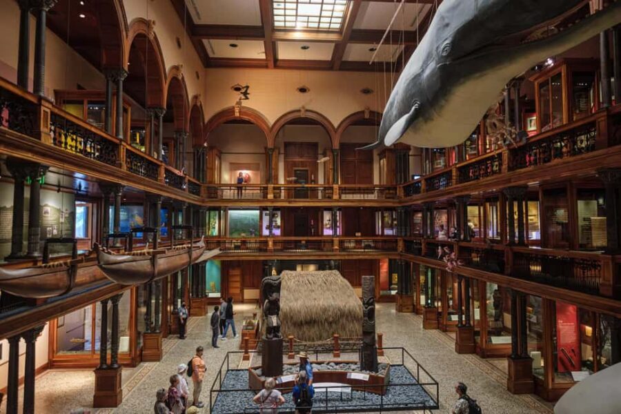 Honolulu: Bishop Museum General Admission Ticket - Who Should Consider Visiting?