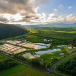 Hook-a-Barra Gourmet Farm Tour - Why We Love the Small-Group Approach