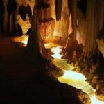 Hop on Hop off - Tamborine Rainforest Skywalk + Glow Worm Caves - The Experience: What Travelers Can Expect