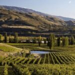 Hop on Hop off Wine Tours Bannockburn - departing Queenstown - Transportation & Practical Details