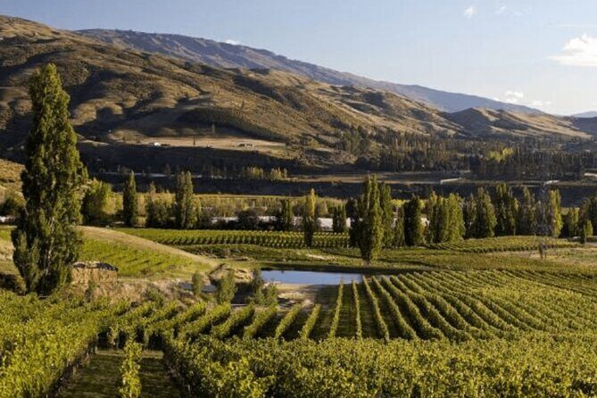 Hop on Hop off Wine Tours Bannockburn - departing Queenstown - Transportation & Practical Details