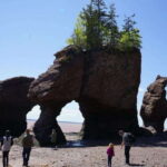 Hopewell Cape: Hopewell Rocks Admission - What Makes This Experience Special?
