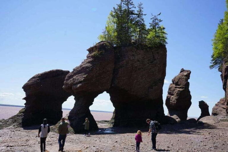 Hopewell Cape: Hopewell Rocks Admission - What Makes This Experience Special?