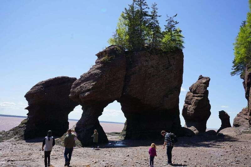 Hopewell Cape: Hopewell Rocks Admission - What Makes This Experience Special?
