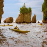 Hopewell Rocks Admission - The Itinerary: What You Can Expect