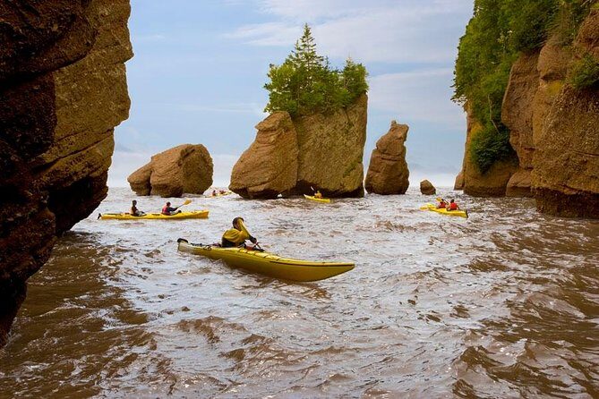 Hopewell Rocks Admission - The Itinerary: What You Can Expect