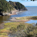 Hopewell Rocks and Fundy National Park Private Tour - Visiting Hopewell Rocks