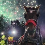 Horse Carriage Ride at Rockefeller Center & Times Square - Practical Details and Value