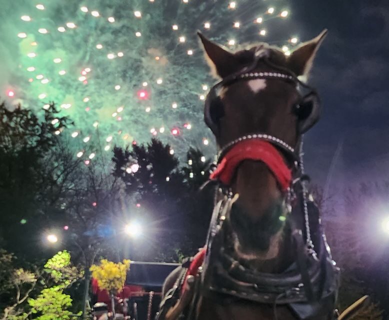 Horse Carriage Ride at Rockefeller Center & Times Square - Practical Details and Value