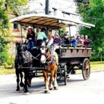 Horse Drawn Historical Guided Tour - Exploring the Heart of Charlottetown: A Detailed Review