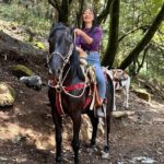 Horse experience with my family - What to Expect: Careful Scheduling and Respect for Horses