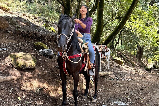 Horse experience with my family - What to Expect: Careful Scheduling and Respect for Horses