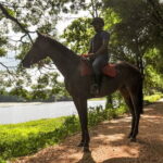 Horse Ride around a Village from Habarana - Why This Tour Works for Different Travelers
