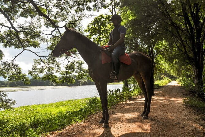 Horse Ride around a Village from Habarana - Why This Tour Works for Different Travelers
