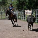 Horse Riding Adventure in the Outback - Who Will Love This Tour?