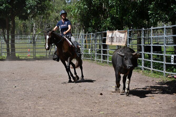 Horse Riding Adventure in the Outback - Who Will Love This Tour?