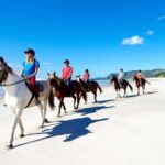 Horse Riding, Wine Tasting & Art Trail Private Tour - Horseback Riding: A Gentle Ride Through Nature