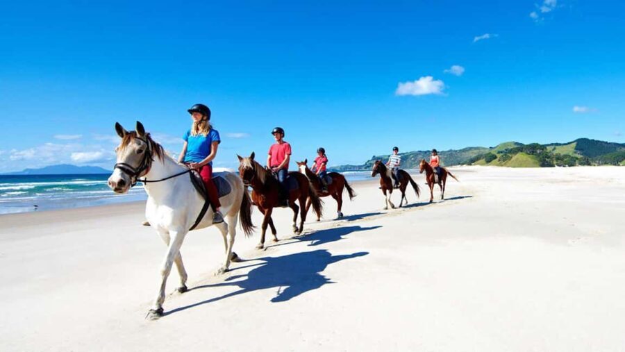 Horse Riding, Wine Tasting & Art Trail Private Tour - Horseback Riding: A Gentle Ride Through Nature