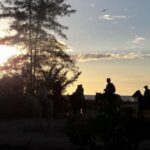 Horseback Adventure in Holbox - A Closer Look at the Horseback Ride Experience