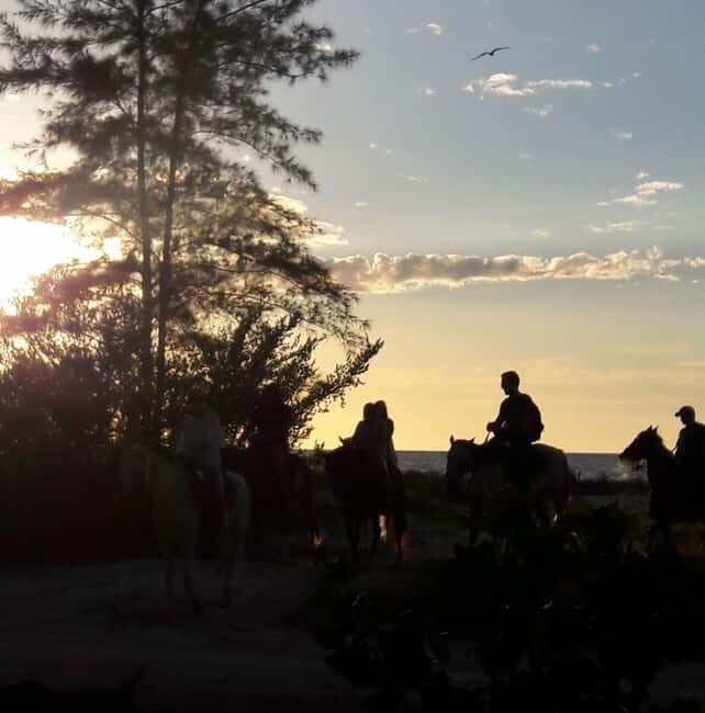 Horseback Adventure in Holbox - A Closer Look at the Horseback Ride Experience