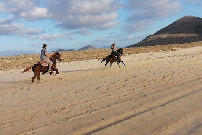 Horseback riding - Who will love this horseback riding tour?