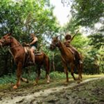 Horseback Riding & ATV Adventure with Ziplines & Cenote - Pricing and Overall Value