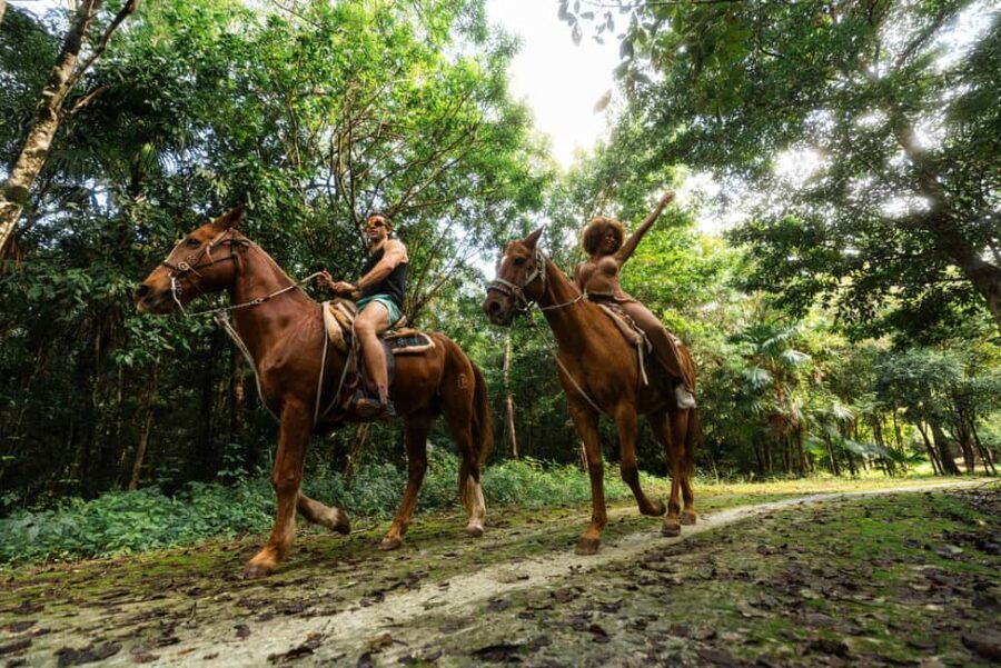 Horseback Riding & ATV Adventure with Ziplines & Cenote - Pricing and Overall Value