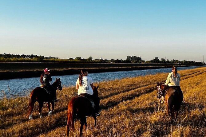 Horseback Riding in Miami - Why This Experience Stands Out