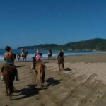 Horseback Riding on the Beach - The Horse Experience