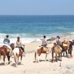 Horseback Riding on The Beach and Through The Desert! - Who Will Love This Tour?
