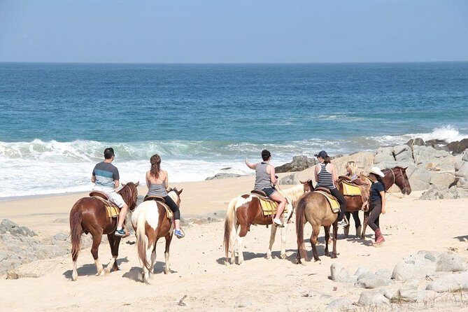 Horseback Riding on The Beach and Through The Desert! - Who Will Love This Tour?