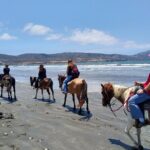 Horseback Riding on the Beach from Ensenada - The Bottom Line: Is It Worth It?