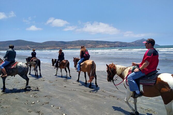Horseback Riding on the Beach from Ensenada - The Bottom Line: Is It Worth It?