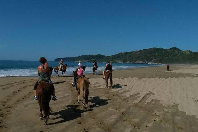 Horseback Riding on the Beach - The Horse Experience