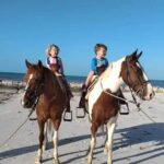 Horseback Riding on the Beaches of Holbox - Who Will Love This Tour?