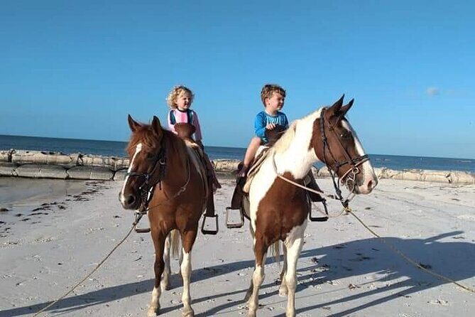Horseback Riding on the Beaches of Holbox - Who Will Love This Tour?
