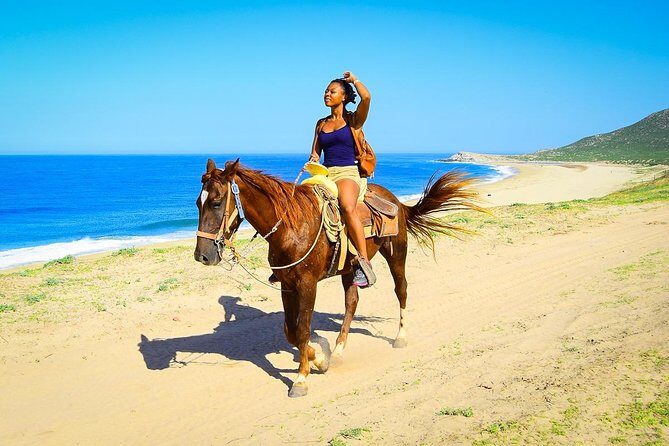 Horseback Riding Tour in Los Cabos - The Horseback Riding Experience: What to Expect