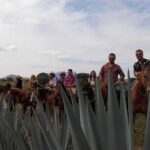 Horseback Riding Tour in The Agave Field with Lunch - What Travelers Say: Authentic Insights from Reviews