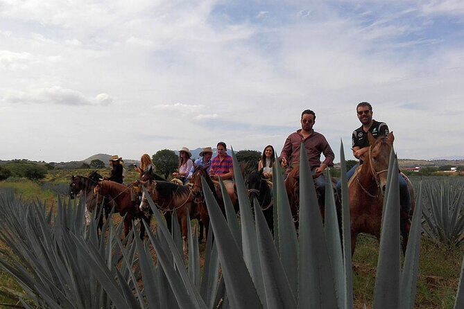 Horseback Riding Tour in The Agave Field with Lunch - What Travelers Say: Authentic Insights from Reviews