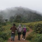 Horton Plains National park - Why Choose This Tour?