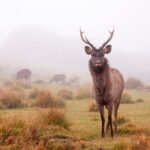 Horton Plains National Park Trekking - Why This Tour Offers Value