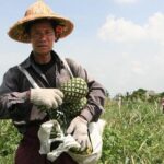 Hua Hin National Park & Laem Sa La Beach Guided Day Trip - The Practicalities: What You Need to Know