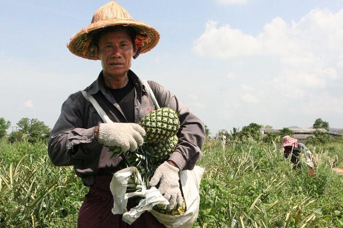 Hua Hin National Park & Laem Sa La Beach Guided Day Trip - The Practicalities: What You Need to Know