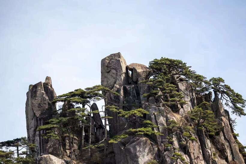 Huangshan: Mountain Top Day Trip with Cable Car and Pickup - The Experience on the Mountain