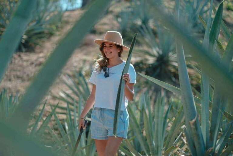 Huatulco: Mezcal and Gastronomic Tour - A Closer Look at the Itinerary