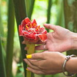 Huatulco: Nature Park with Fruit Tasting & Optional Zipline - What’s on the Itinerary?