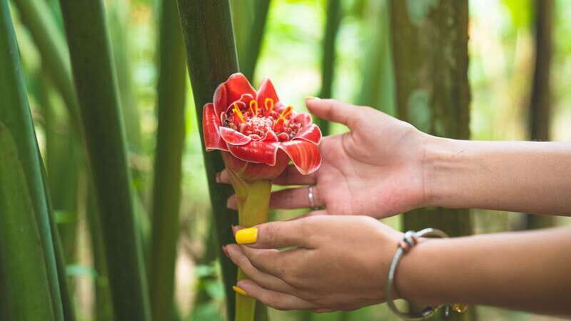 Huatulco: Nature Park with Fruit Tasting & Optional Zipline - What’s on the Itinerary?