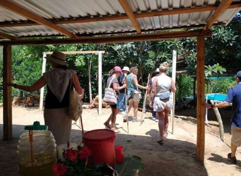 Huatulco: Private Coffee and Fruit Ranch Experience - The Value of a Private Experience