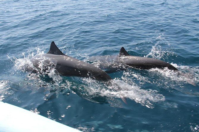 Huatulco Shore Excursion: Seven Bays Private Tour - Who Will Love This Tour?