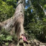 Huatulco: Waterfalls Tour with Buffet Lunch - Total Value and Who Will Appreciate It